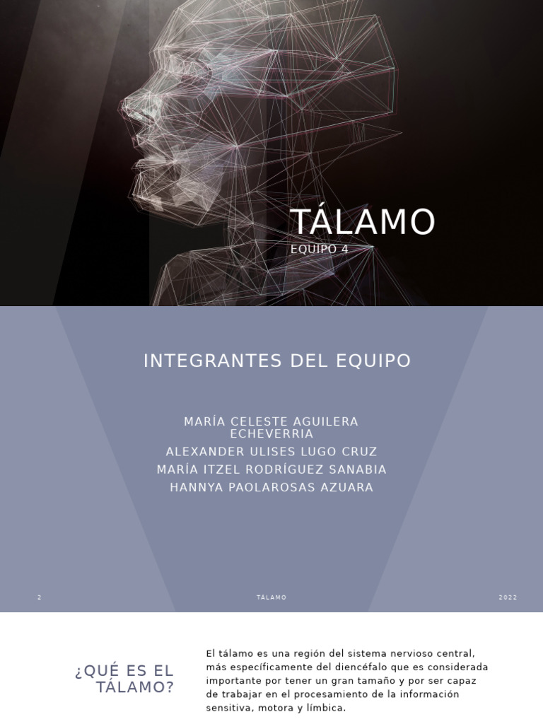 Talamo | PDF | Tálamo | Cerebro