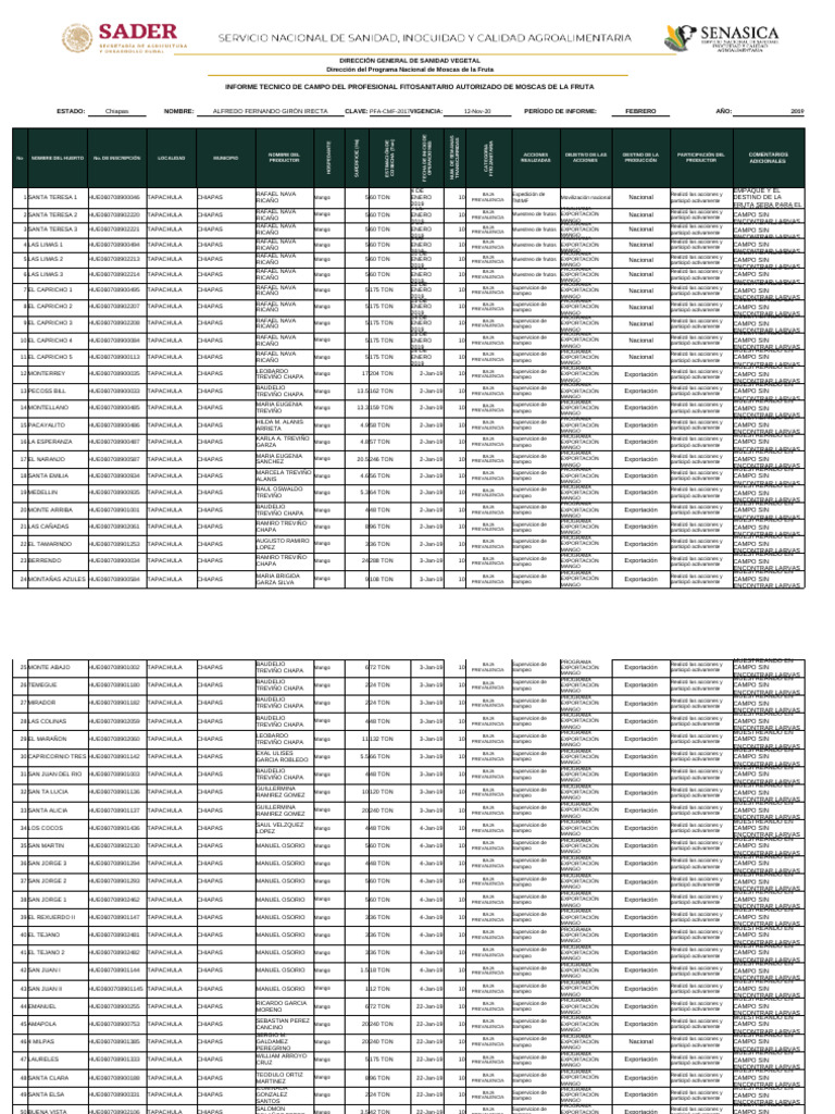 Formato Informes Pfa | PDF | Mango | Ingredientes de comida