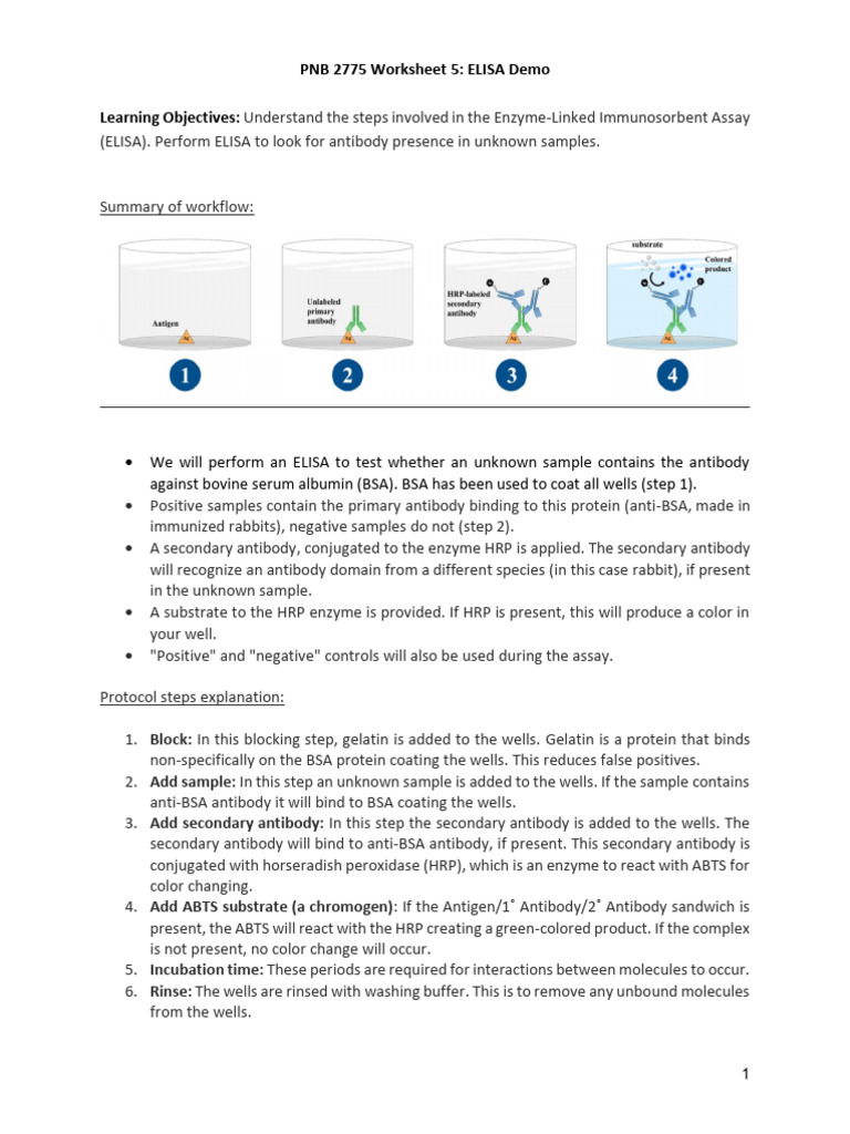ELISA Worksheet 5 | PDF | Elisa | Biochemistry
