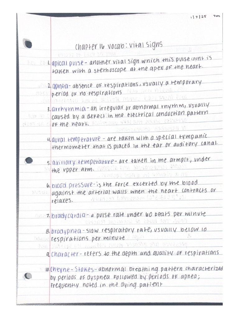 Chapter 16 Vocab | PDF