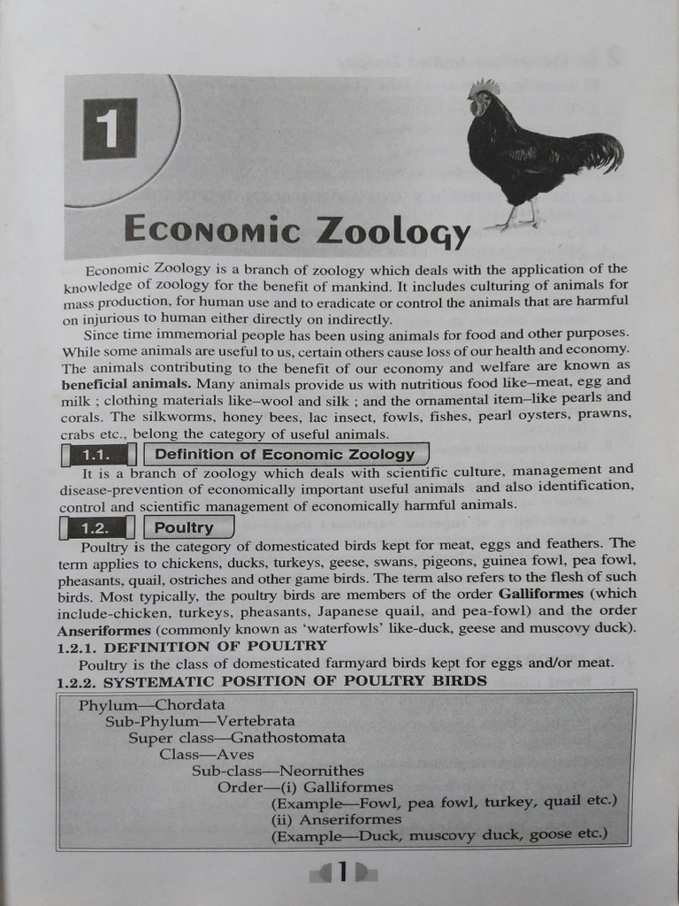 Economic Zoology (1-19) | PDF | Poultry | Birds