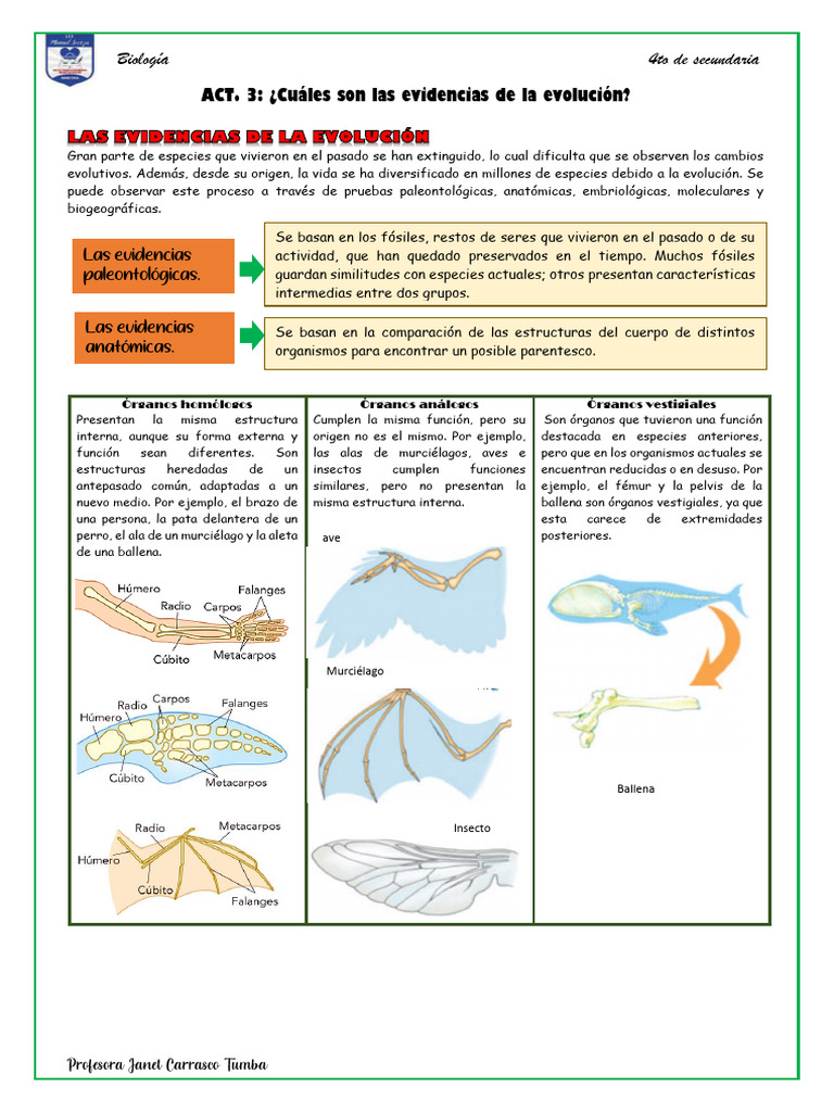 Evidencias de la Evolución en Biología | PDF | Evolución | Especies