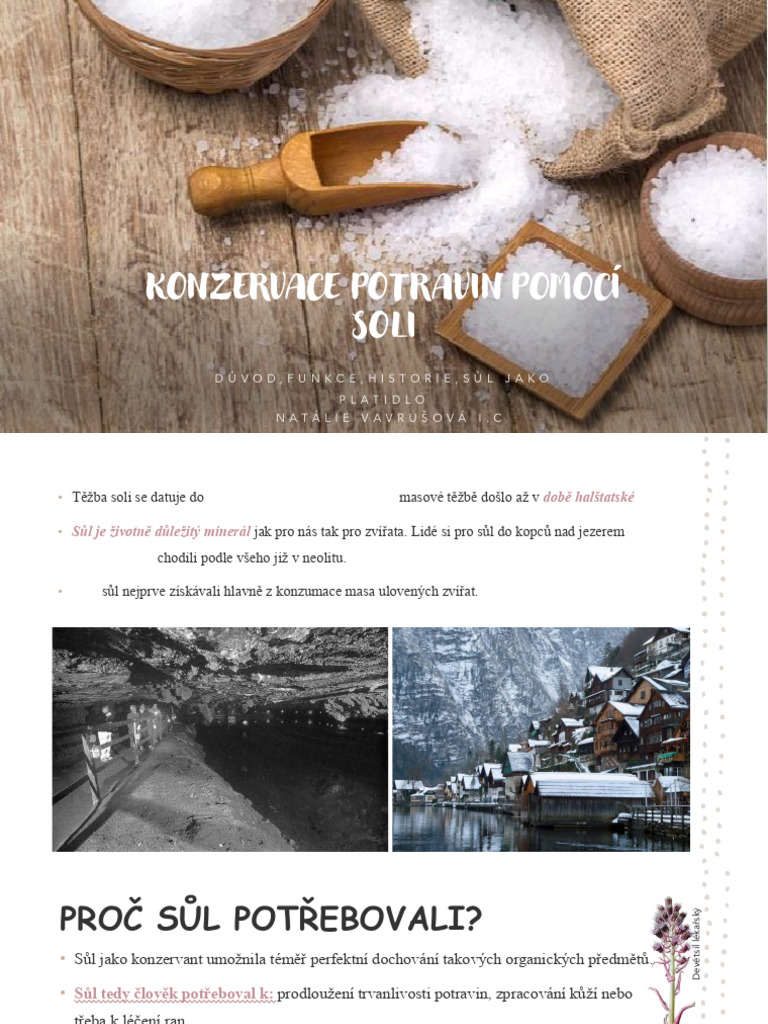 Konzervace Potravin Pomocí Soli | PDF