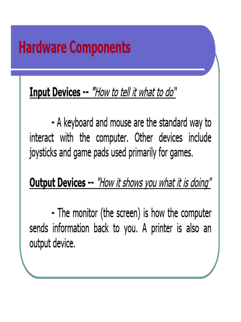 Computer Input & Output Basics | PDF