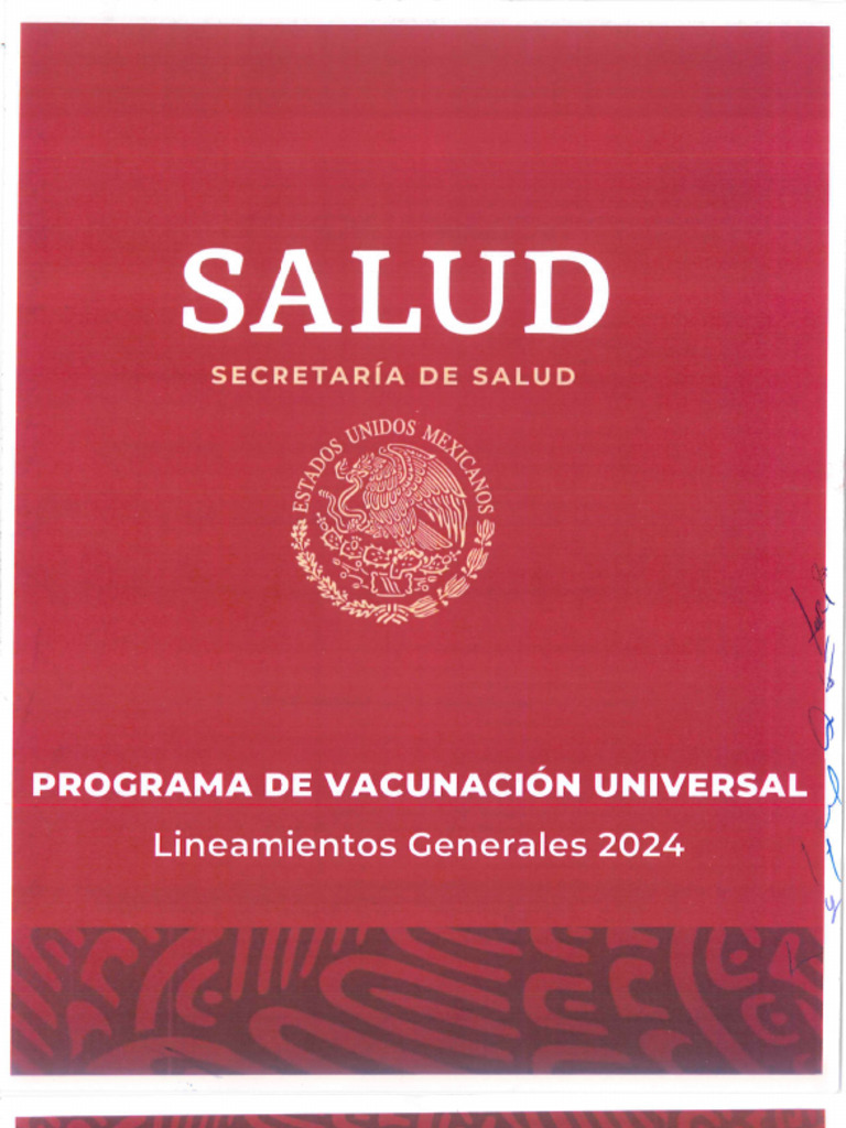 Lineamientos Generales PVU 2024 Alta | PDF
