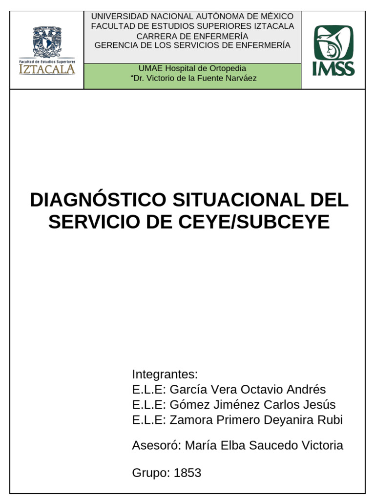 Diagnóstico del Servicio CEYE/SubCEYE | PDF | Hospital | Enfermería