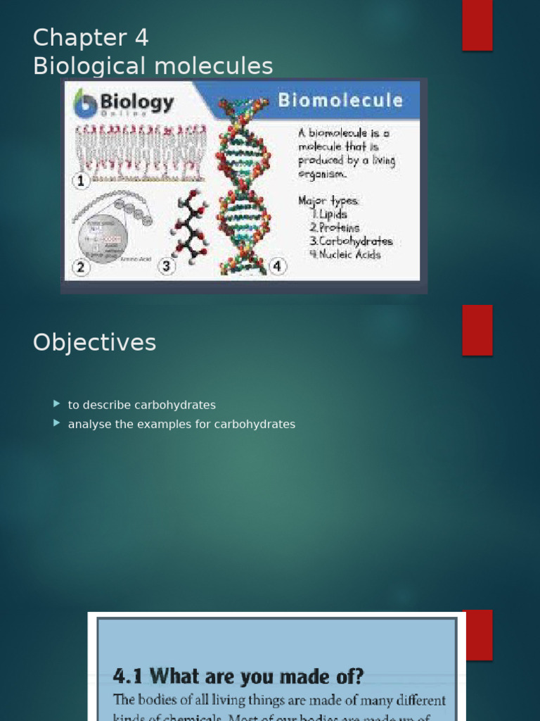 Chapter 4 Biological molecules- Carbohydrates | PDF