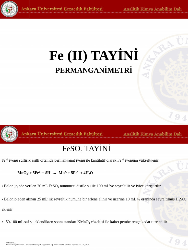 H13-Fe (II) Tayini | PDF