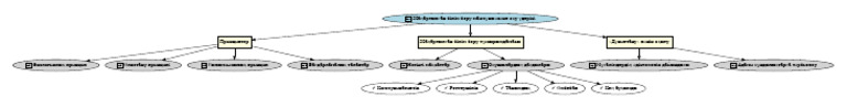 Mind Map Brain | PDF