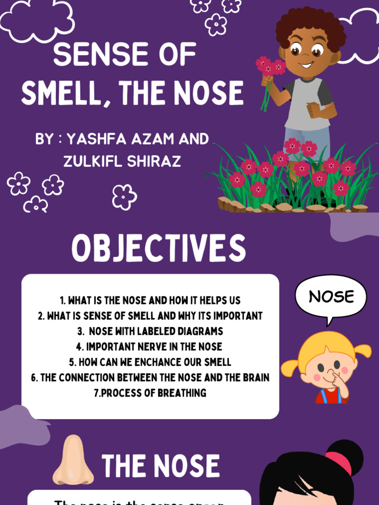 Understanding the Nose and Smell | PDF