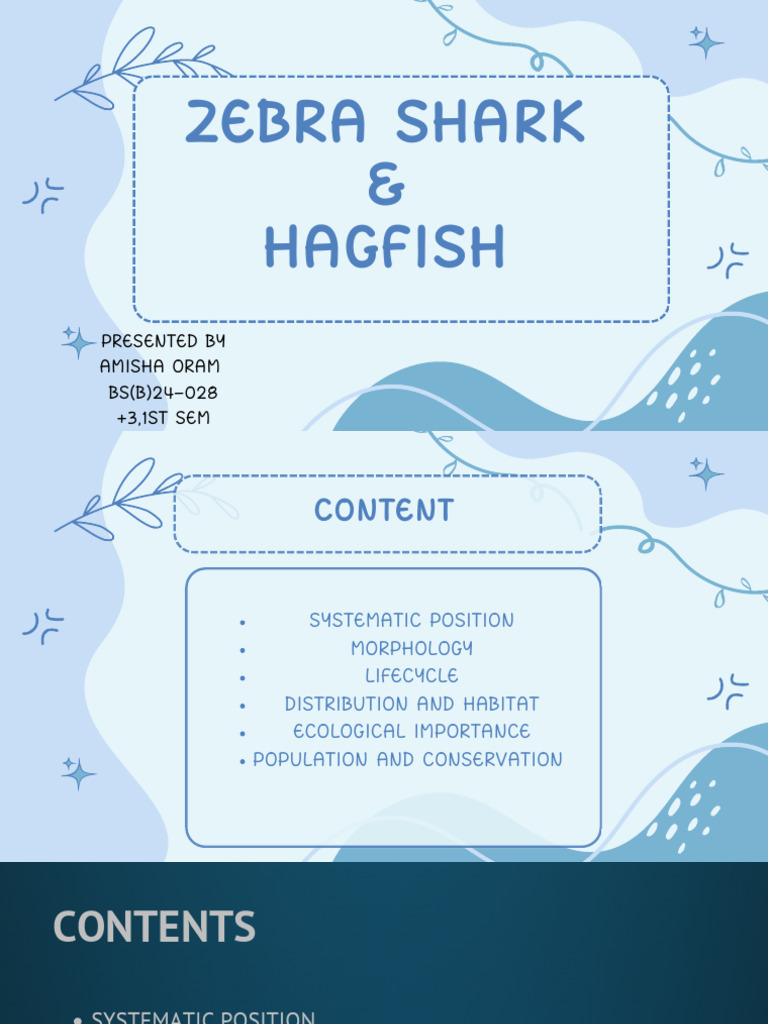 Zebra Shark and Hagfish - PPTX 20250211 202810 0000 | PDF | Sharks | Oceans