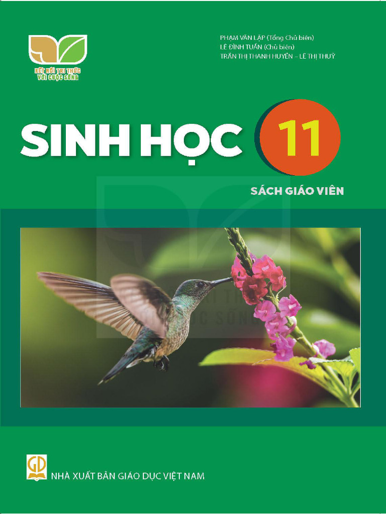 SGV Sinhhoc 11 KNTT | PDF