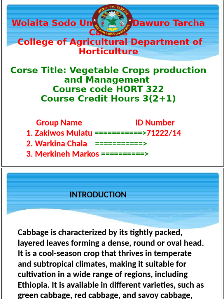 Vegetable Crops z | PDF | Cabbage | Crop Rotation
