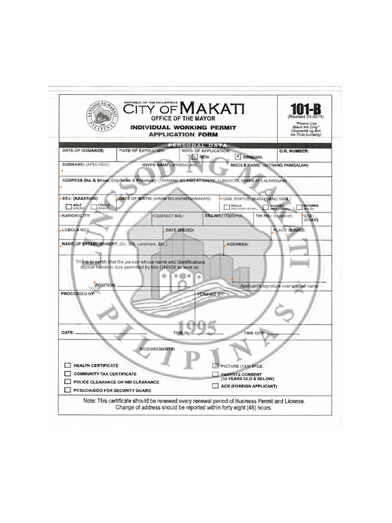 Individual Work Permit 2025 | PDF