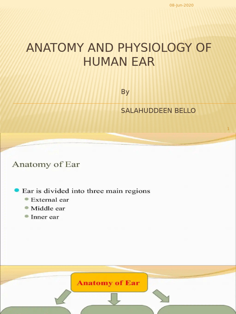 Human Ear-1 | PDF
