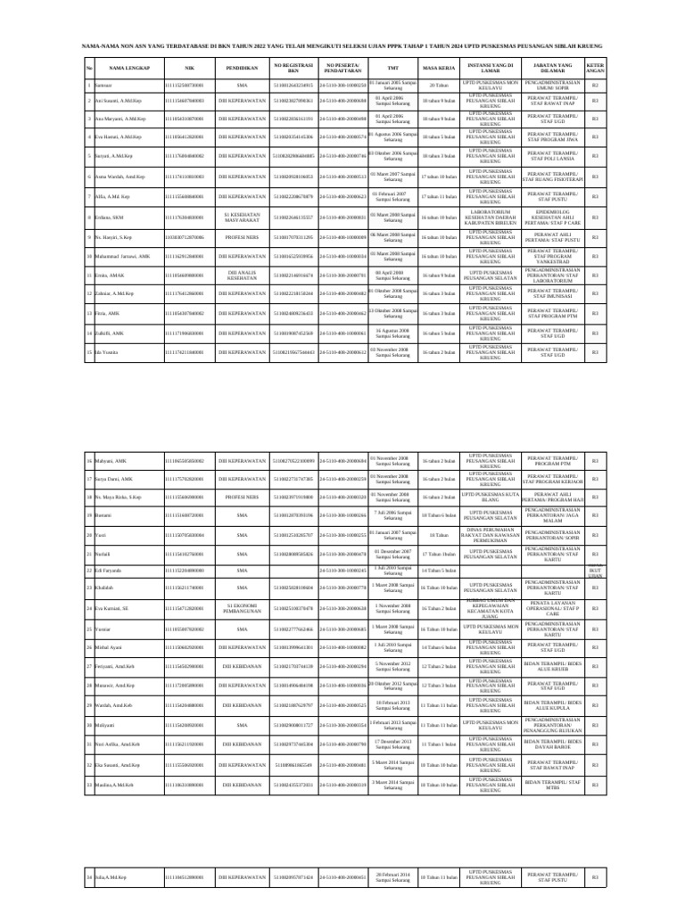 Data Non Asn Data Base BKN Yang Belum Mendapatkan Kuota Formasi Seleksi ...