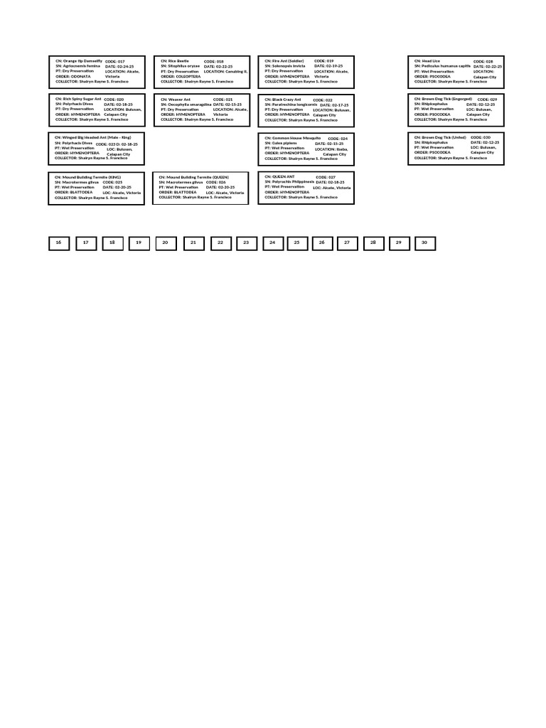 label (1) | PDF | Insects | Apocrita