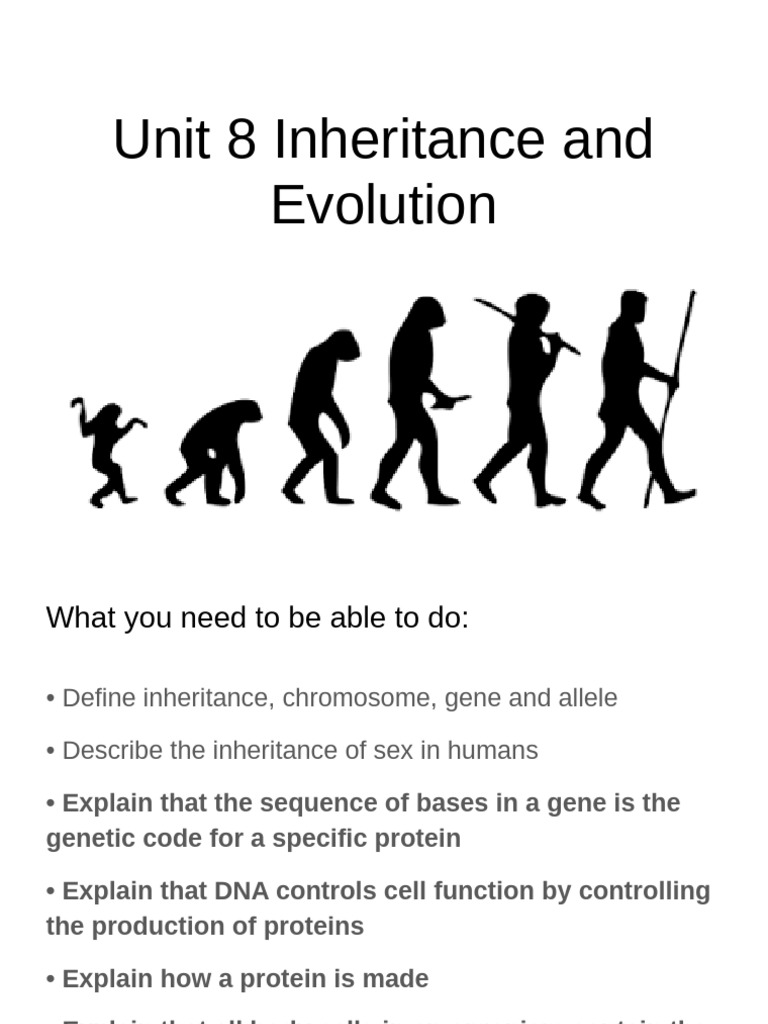 Unit 8 Inheritance and Evolution | PDF | Dominance (Genetics) | Zygosity