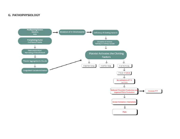 Understanding Pathophysiology Basics | PDF