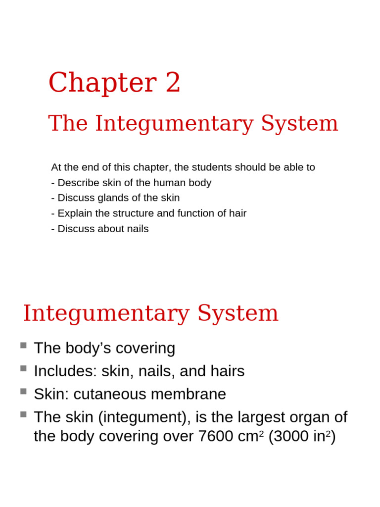 MB107 002 Integumentary System | PDF | Integumentary System | Skin
