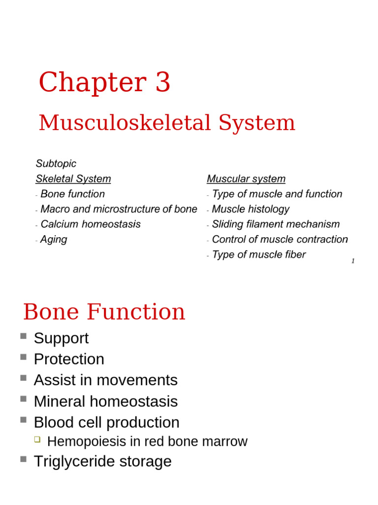 Bone and Muscle Structure Overview | PDF | Bone | Neuromuscular Junction