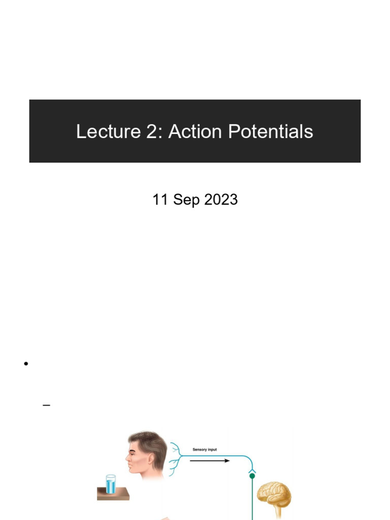 Lecture - 2 - Action Potentials | PDF | Inhibitory Postsynaptic ...