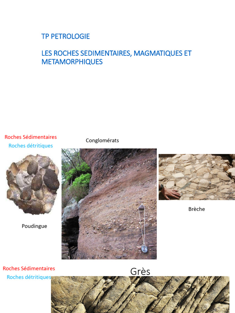 Types de Roches : Sédimentaires, Magmatiques, Métamorphiques | PDF