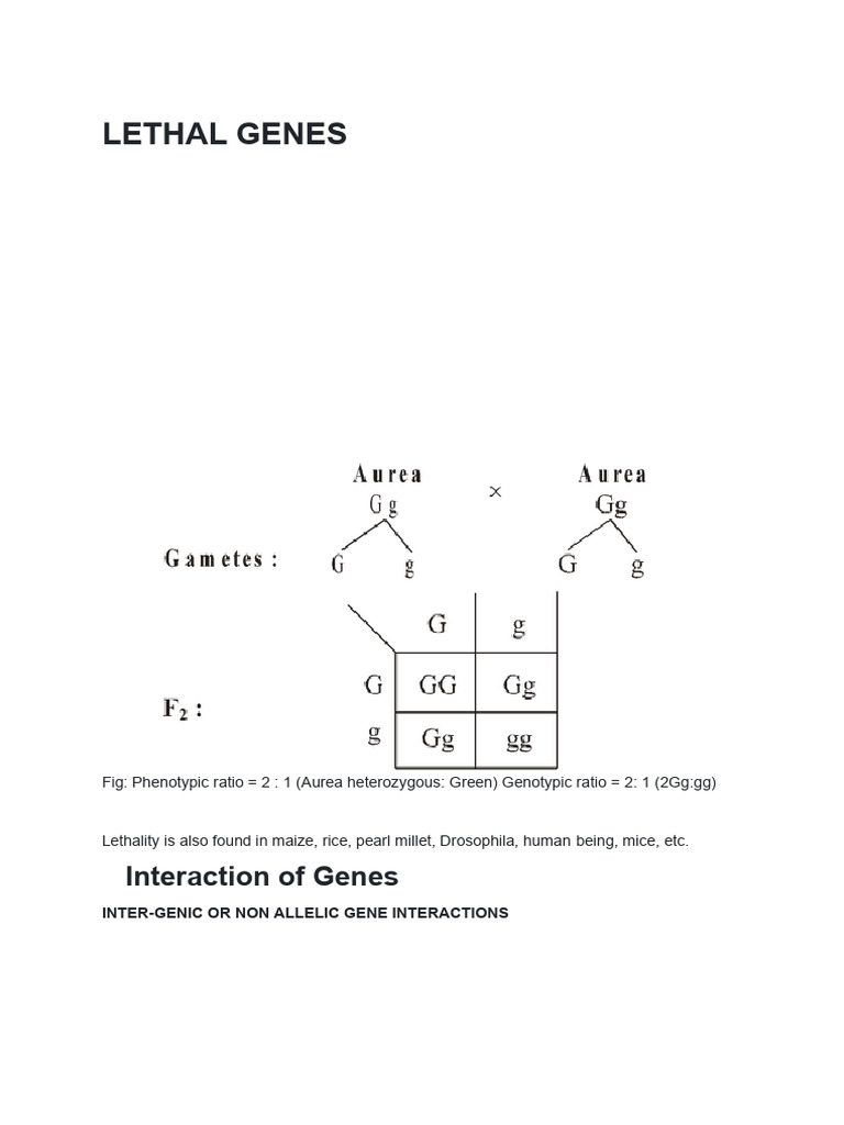 Lethality and Interaction of Genes | PDF | Dominance (Genetics) | Epistasis