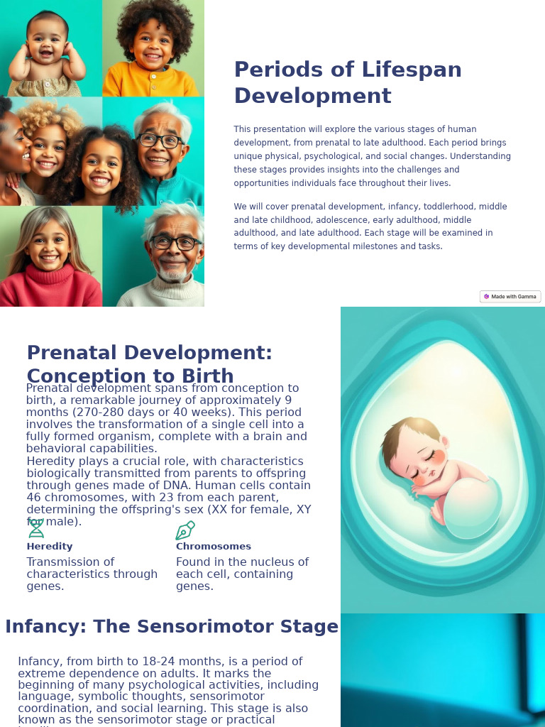 Periods of Lifespan Development | PDF | Adolescence | Early Childhood