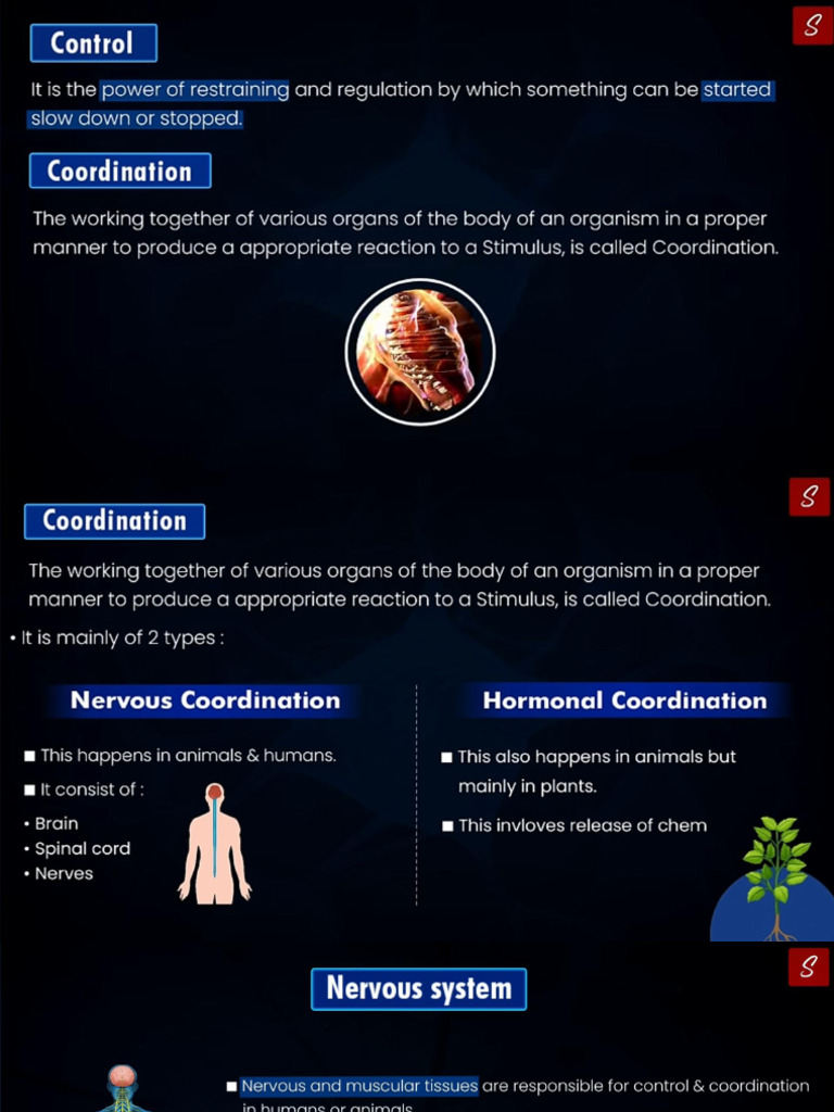 Control and Coordination | PDF | Nerve | Central Nervous System