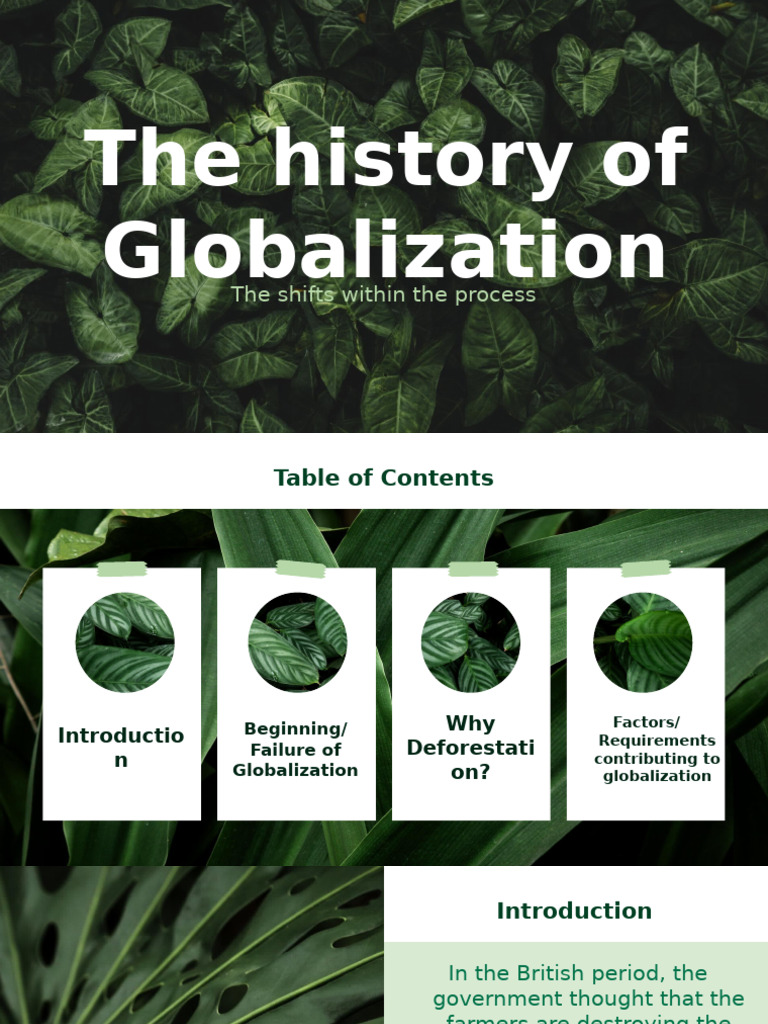 The History of Globalization | PDF | Globalization | British Empire
