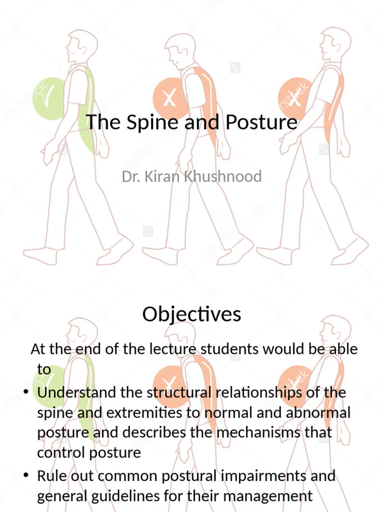 lec 3The Spine and Posture | PDF | Vertebral Column | Vertebra