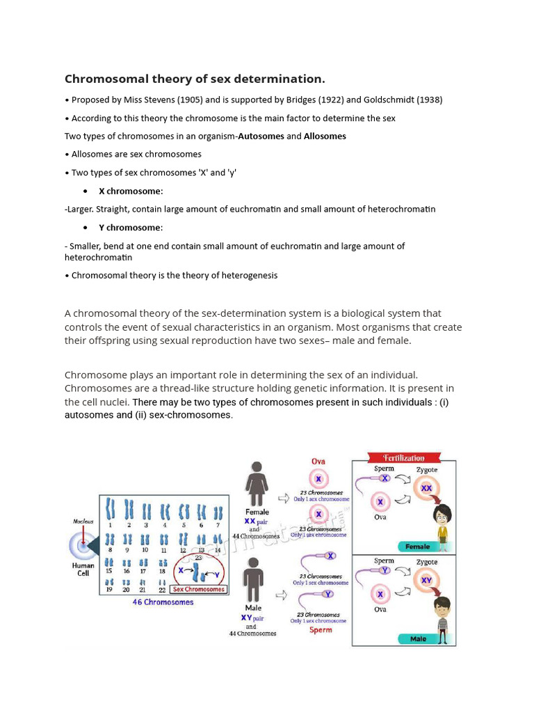 Chromosomal Theory of Sex Determination | PDF | Sex | Chromosome