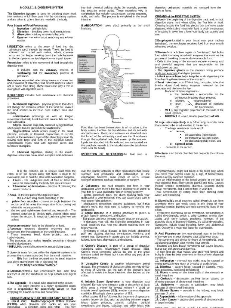 Module-1.-DIGESTIVE-SYSTEM (1) | PDF | Gastrointestinal Tract | Human ...