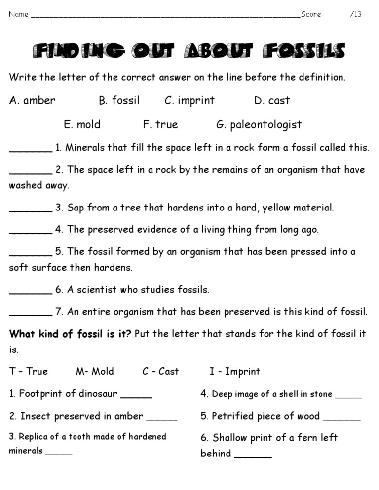 Fossil Types and Definitions Quiz | PDF | Foreign Language Studies