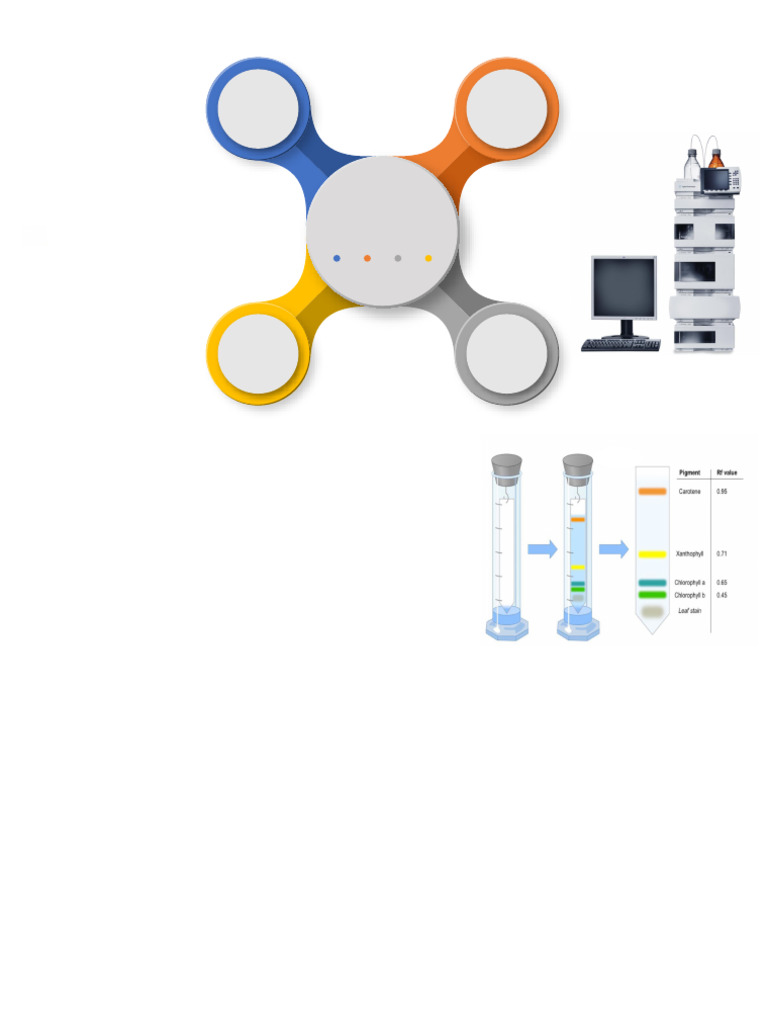 HPLC Interview Questions & Answers Guide | PDF | High Performance ...