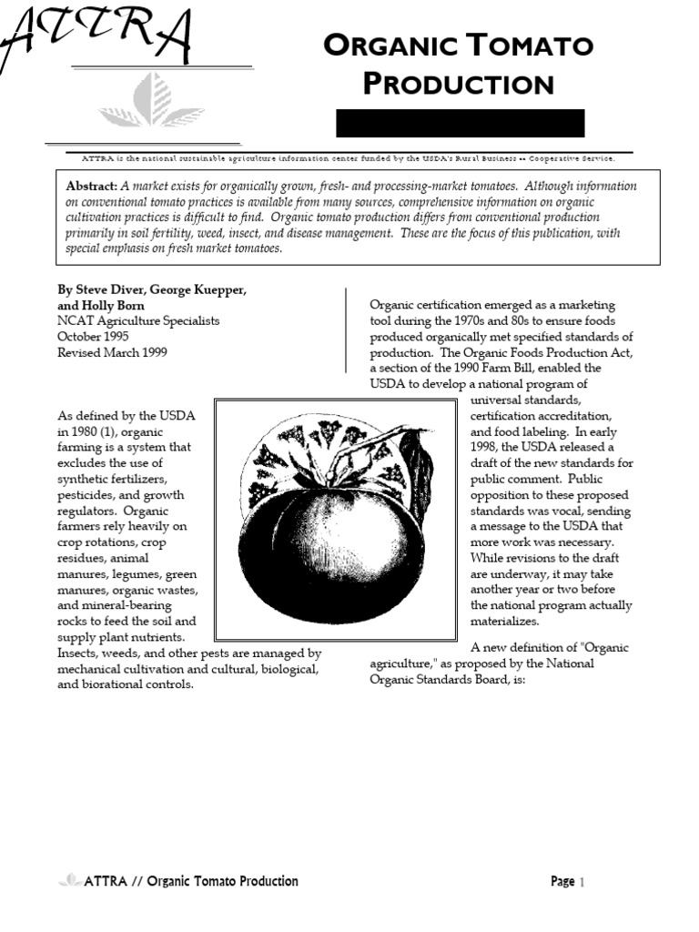 Organic Tomato Production | PDF | Organic Farming | Crop Rotation