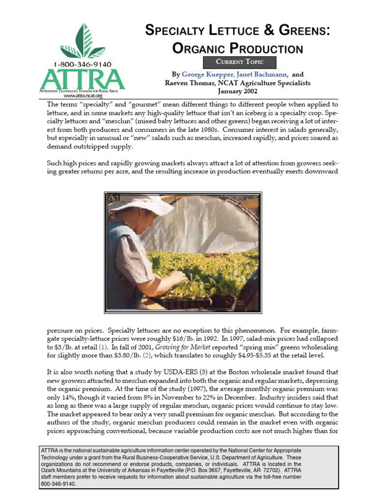 Specialty Lettuce and Greens Organic Production | PDF | Organic Farming ...