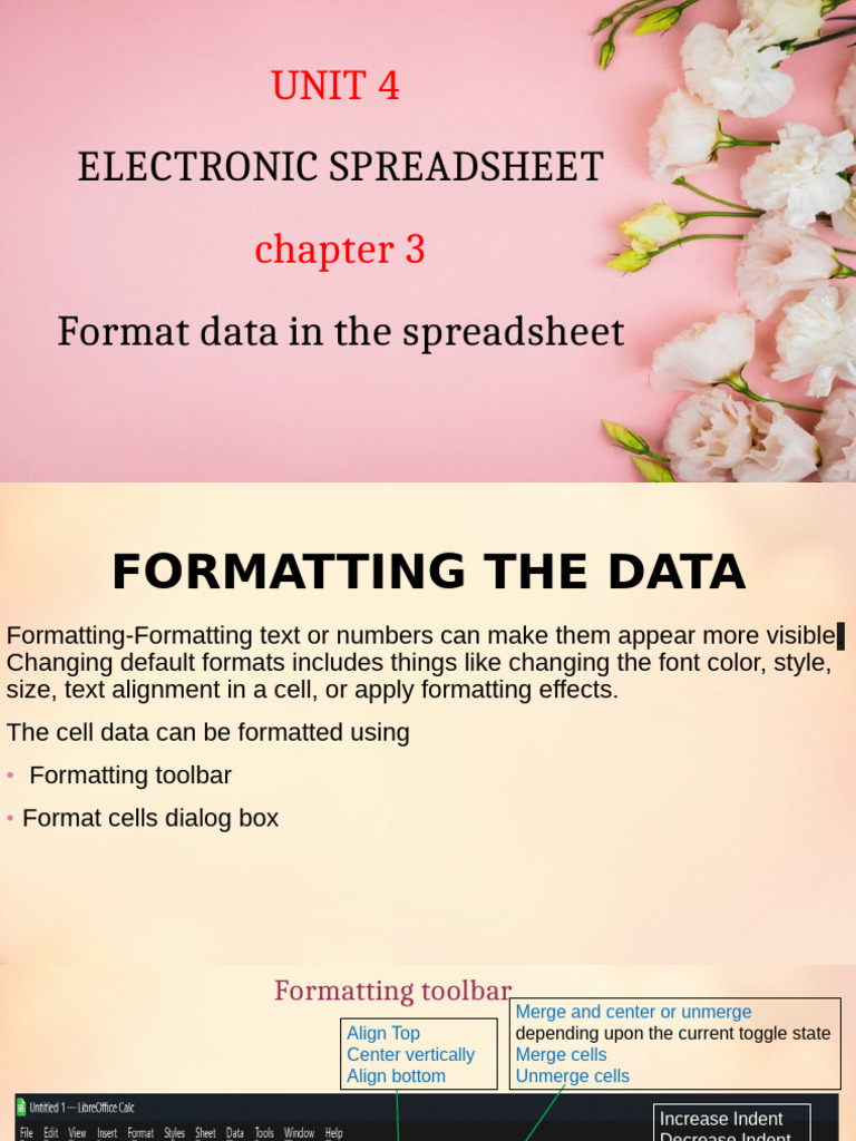 3 Formatting a Worksheet | PDF | Spreadsheet | Typefaces