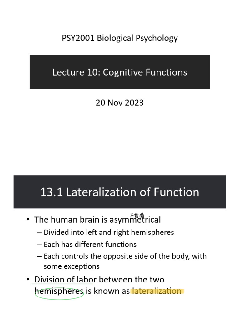 Cognitive Functions and Brain Lateralization | PDF | Aphasia | Speech