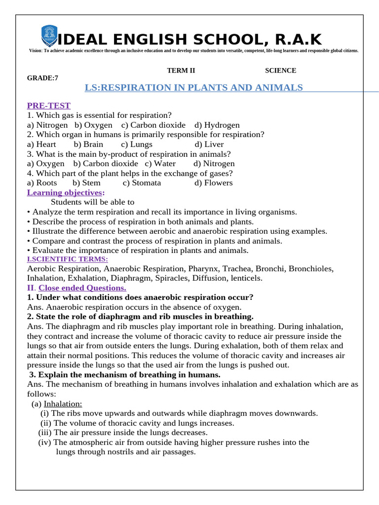 Grade 7 Respiration in Plants and Animals Notes | PDF | Respiratory ...