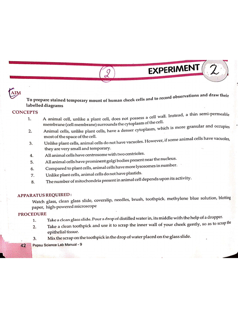 Experiment 2-1 | PDF