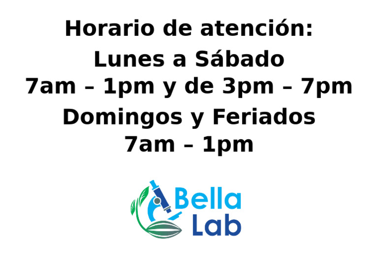 Horario de Atención | PDF
