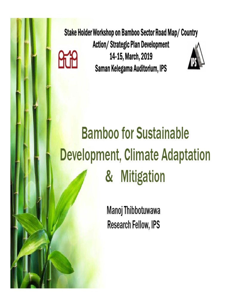 Bamboo's Role in Climate Adaptation | PDF | Climate Change Mitigation ...