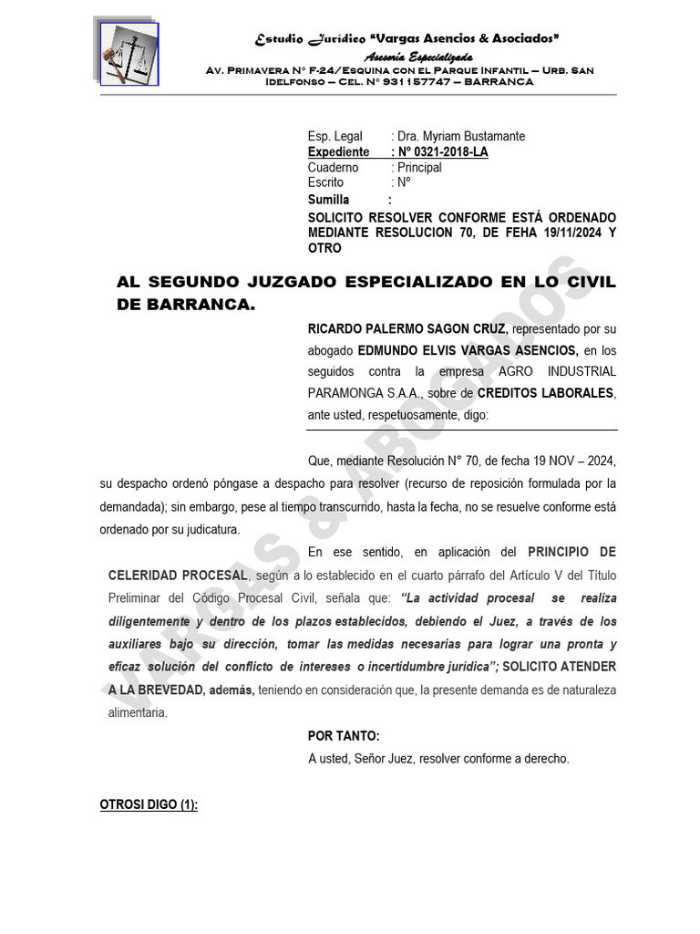 Sagon - Solicito Resolver y Otro | PDF | Constitución | Ley Pública