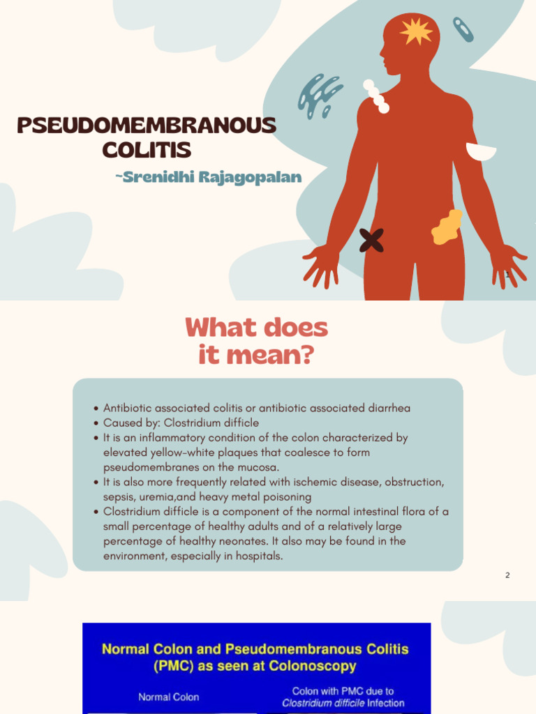 Pseudomembranous Colitis | PDF | Gastroenterology | Human Diseases And Disorders