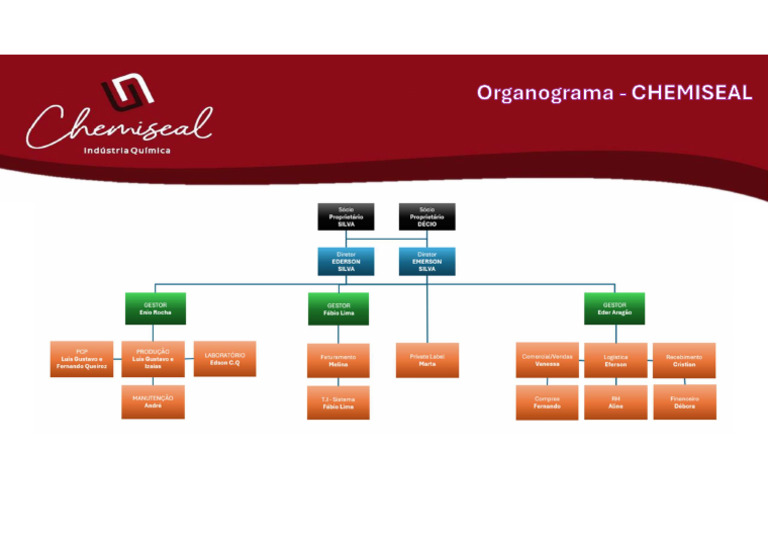 Orgonograma - CHEMISEAL | PDF