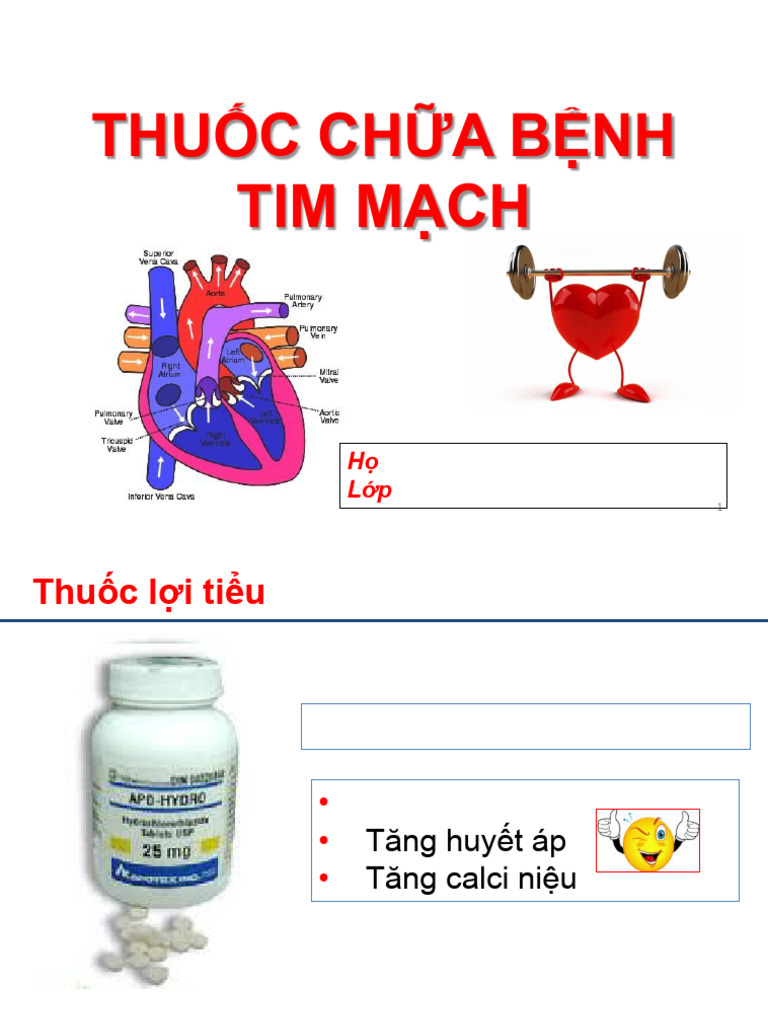 1.tim Mach Loi Tieu | PDF