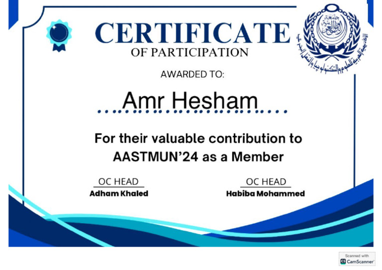 Mun Certificate | PDF