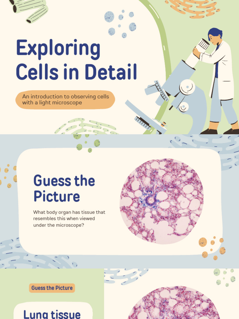 Exploring Cells in Detail Education Presentation in 0 Hand Drawn ...